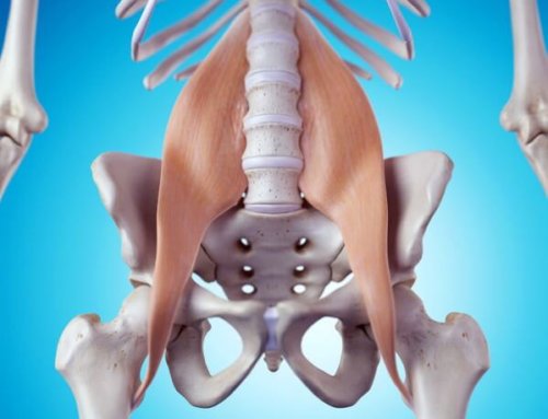 What is Pandiculation? - Somatic Movement Center