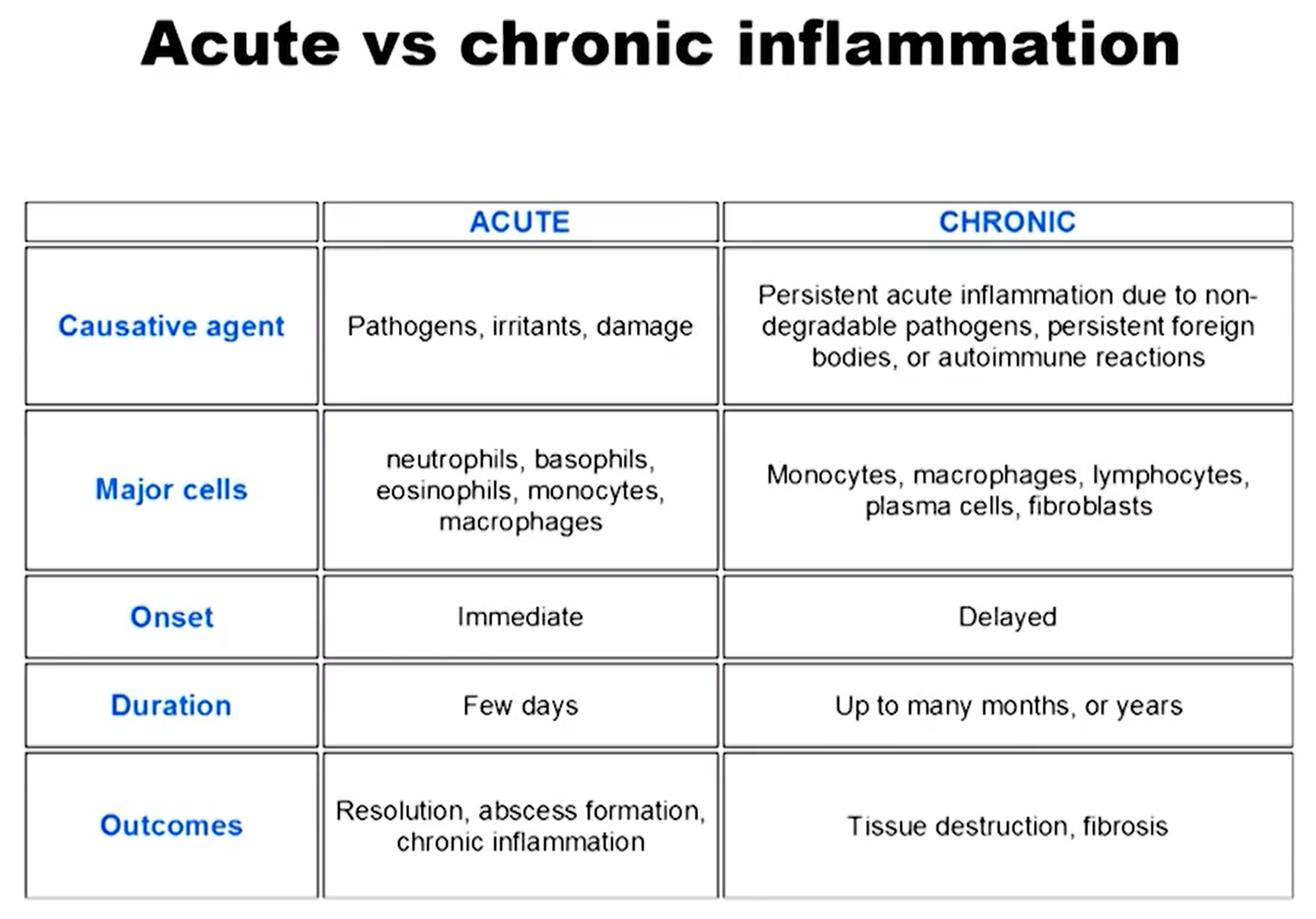 What Is Chronic Inflammation And Why Is It Killing Us 