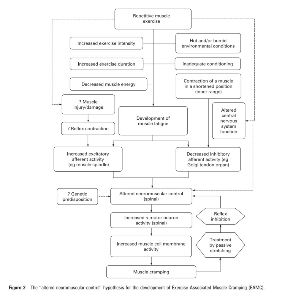 - Somatic Movement Center