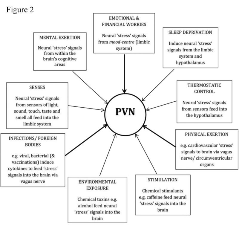 Chronic Fatigue Syndrome ME/CFS: How people recover from ME/CFS
