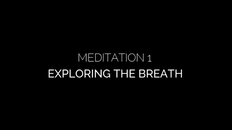 Meditation Series - Somatic Movement Center