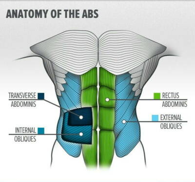 Improve Core Stability by Activating Your Transverse Abdominis ...