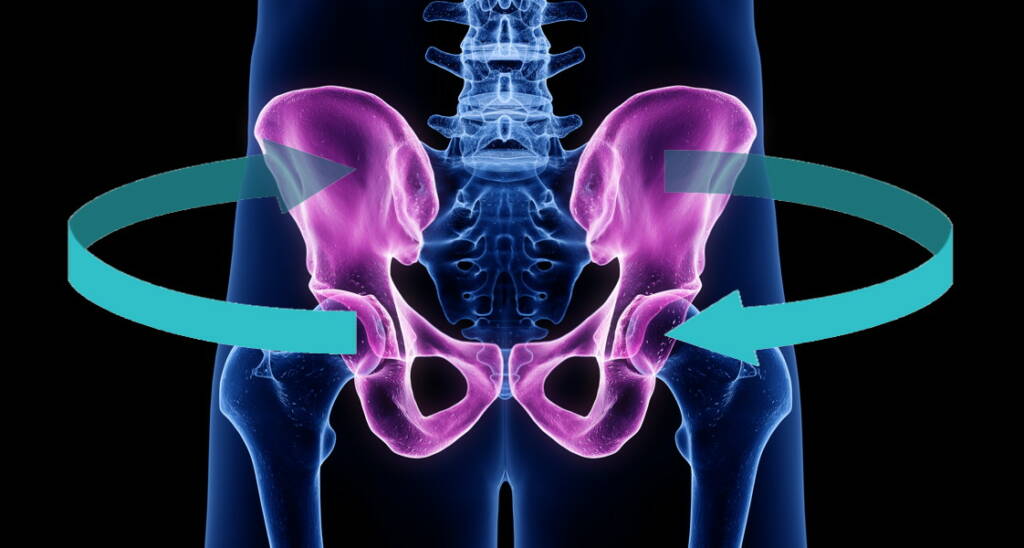 - Somatic Movement Center