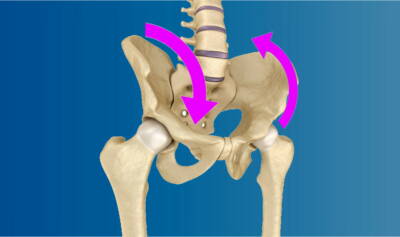 How to Fix Pelvic Torsion (Twisted Pelvis) With Clinical Somatics ...