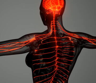 What is Somatics? Learn about Thomas Hanna's Somatics